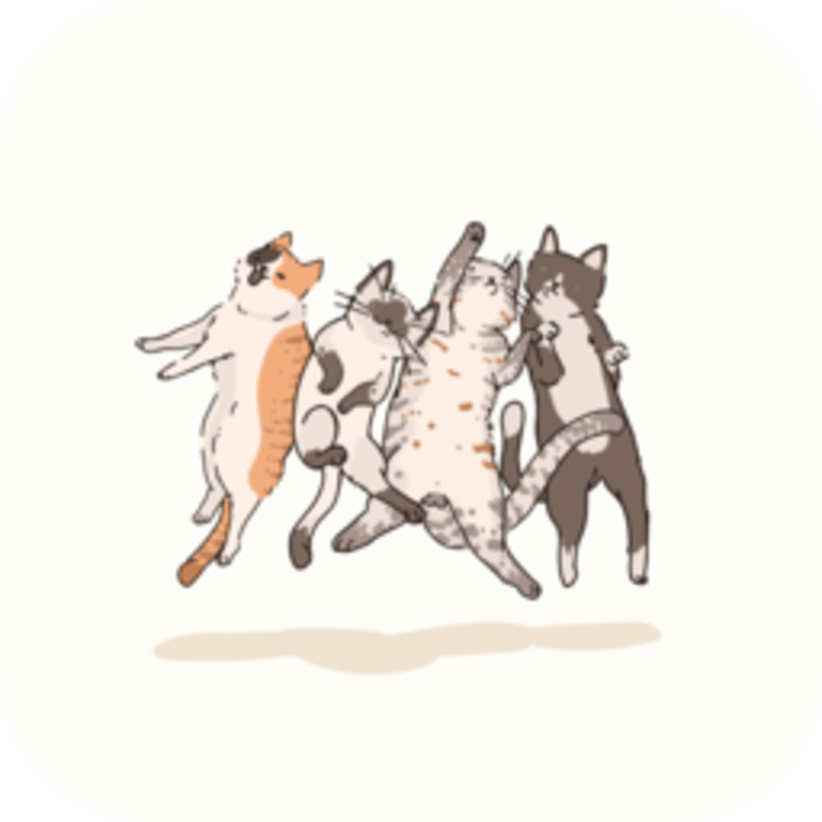 Zafer Gök - Frontend Developer & Software Engineer